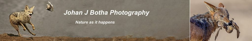 Home - Johan J Botha Photography